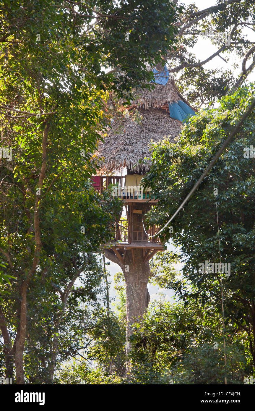 House on the Tree Stock Photo - Alamy