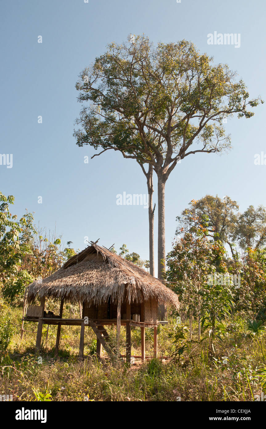 House and Tree Stock Photo - Alamy