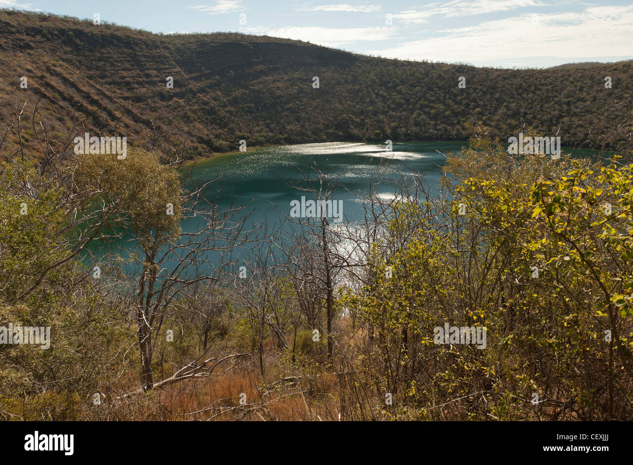 tagus cove; galapagos, equador Stock Photo - Alamy