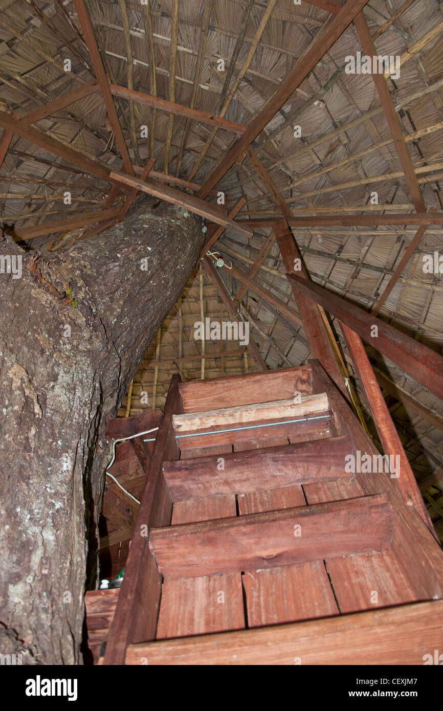 Timber ladder hi-res stock photography and images - Alamy