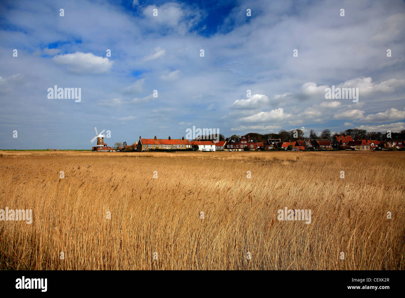 A view over reed beds to Cley Windmill, in the small Norfolk village of ...