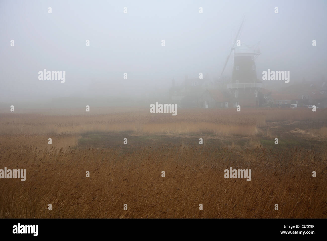 winters misty morning reed beds Cley Windmill village of Cley-next-the ...