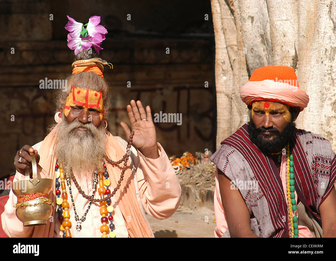 Shiva devotee hi-res stock photography and images - Alamy