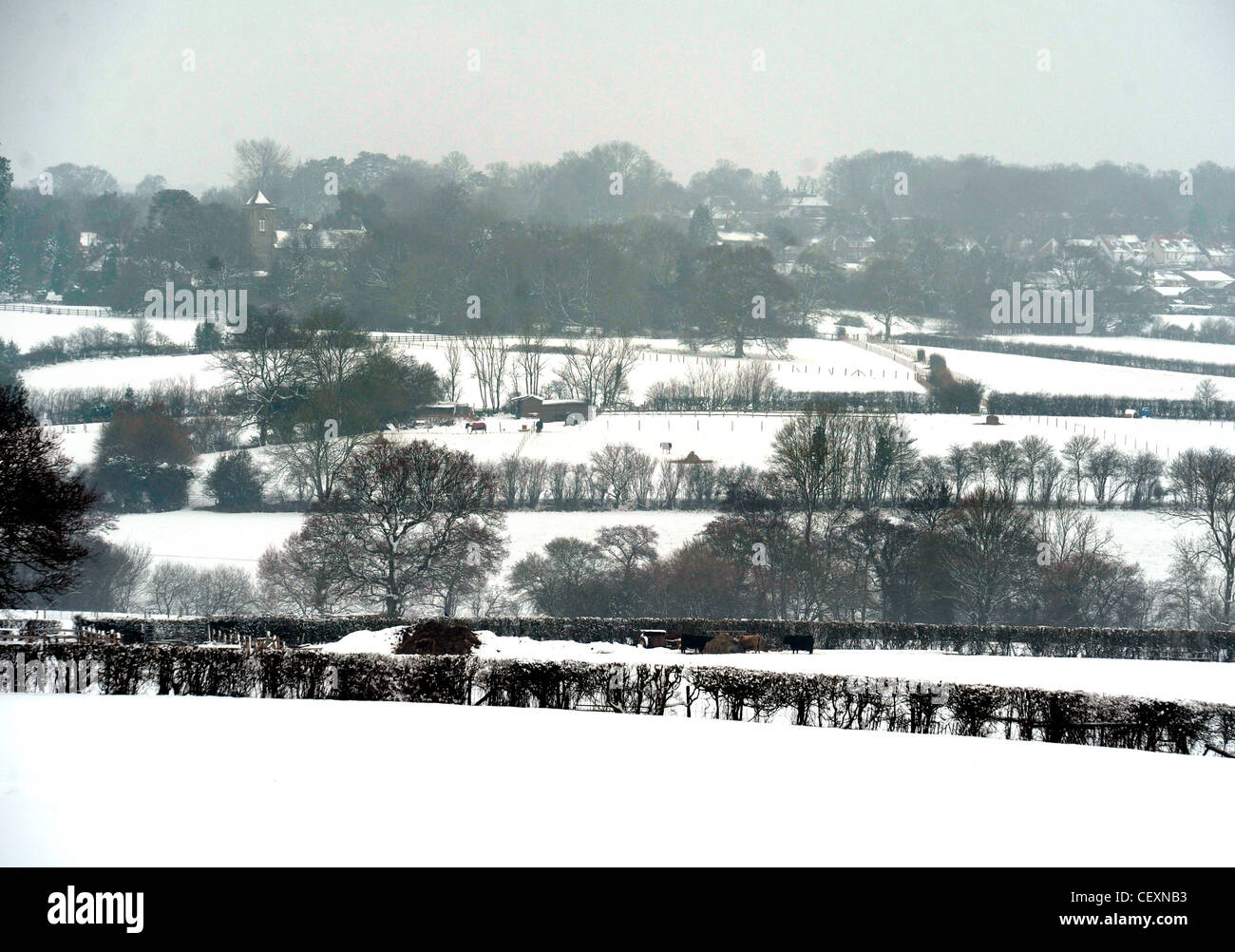 Framfield hi-res stock photography and images - Alamy