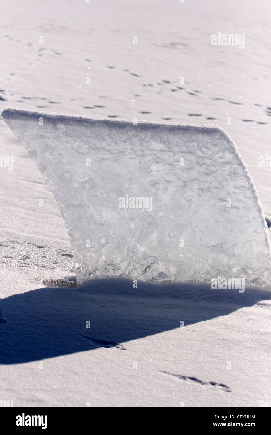 Ice age nature hi-res stock photography and images - Alamy