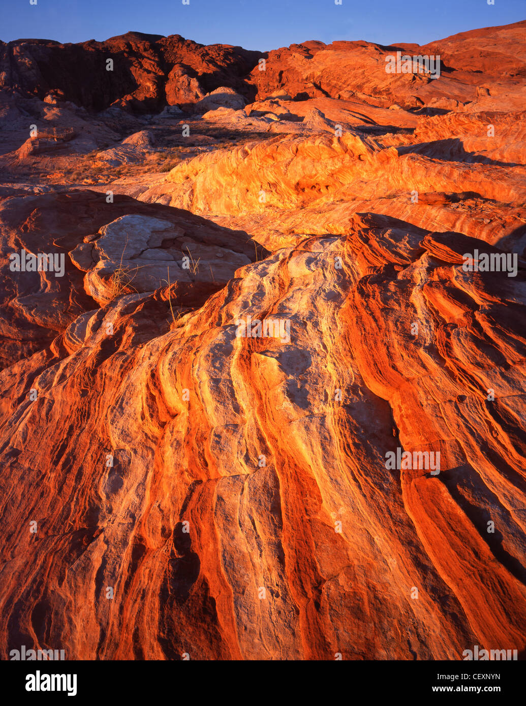 Sunrise/morning in Valley of Fire State Park north of Las Vegas, Nevada ...