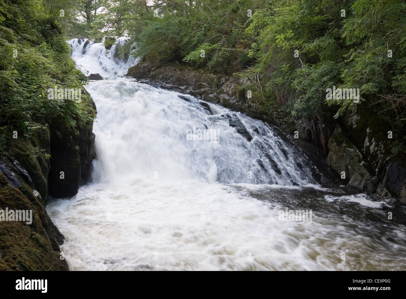 Water falls on river swallow hi-res stock photography and images - Alamy