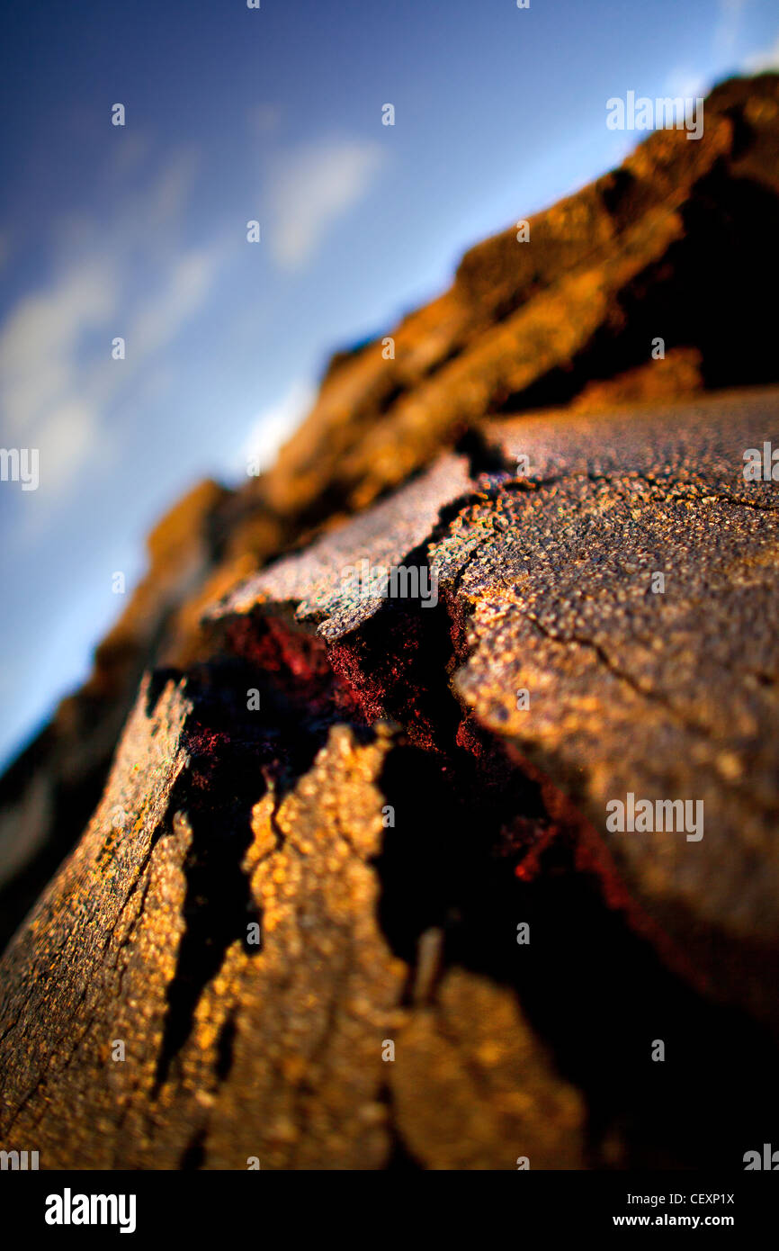 Pavement split from force. Low angle, vertical photo, shallow focus ...