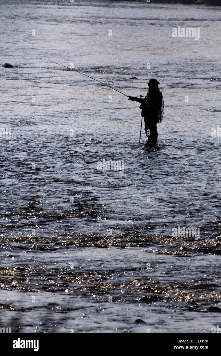 Man standing in river fly fishing in the River Derwent in Peak District ...