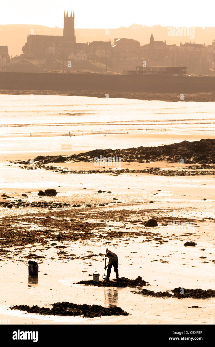 Digging for sea worms hi-res stock photography and images - Alamy