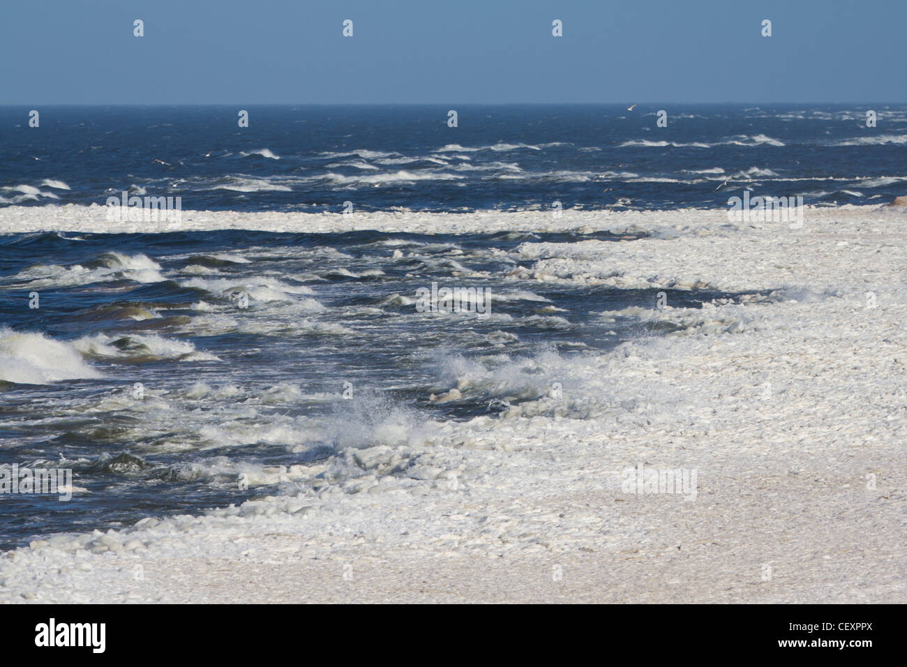 Seagull on the ice floes hi-res stock photography and images - Alamy
