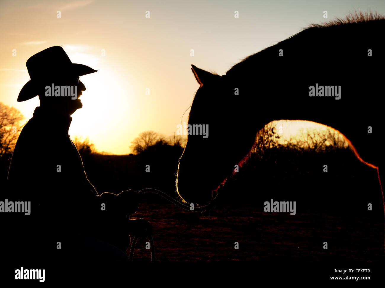 Silhouette man horse against sunset hi-res stock photography and images ...