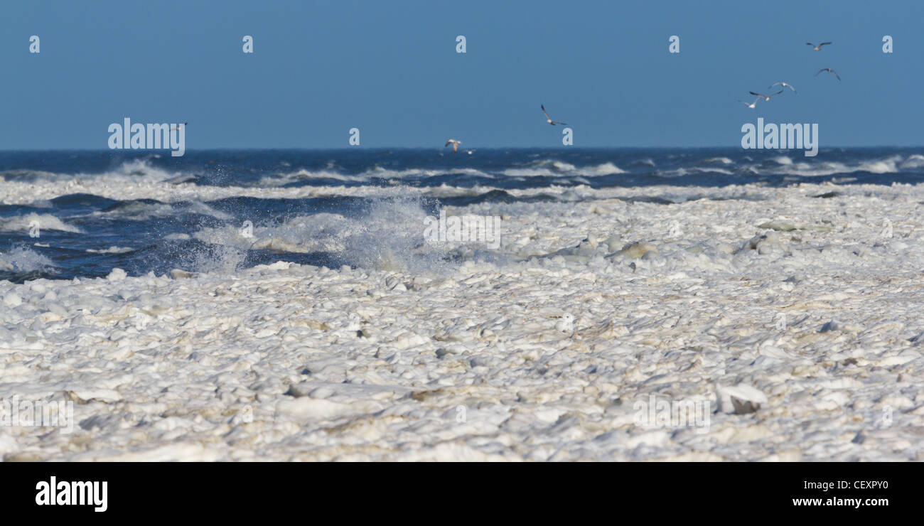 Freezing sea shore Stock Photo - Alamy
