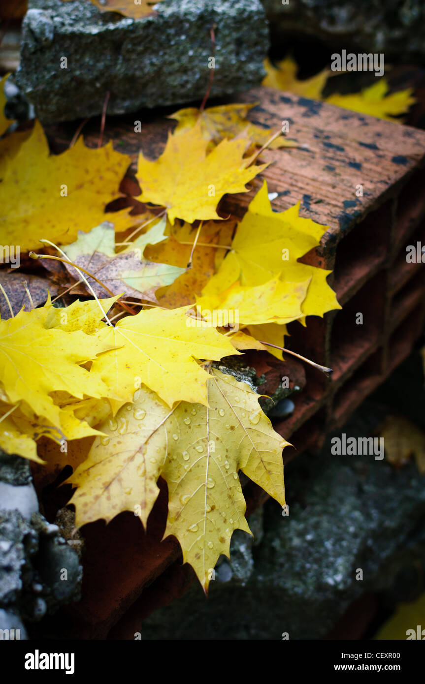 Brown textured scenery hi-res stock photography and images - Alamy