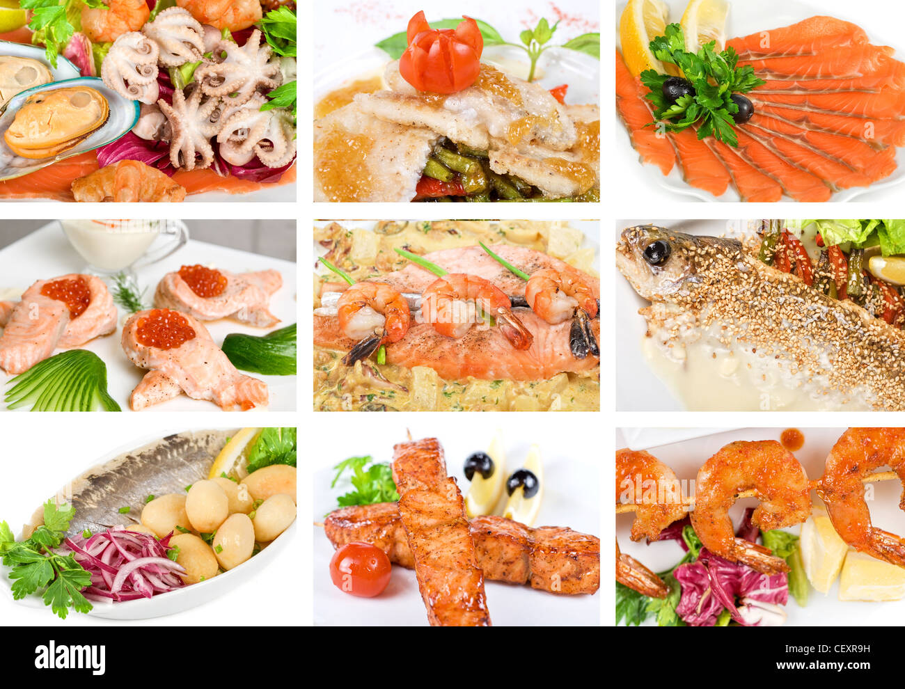 Set of different tasty fish dish Stock Photo - Alamy
