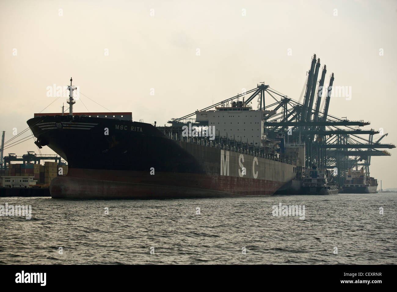 Container ships are seen moored at the Pasir Panjang terminal of the ...