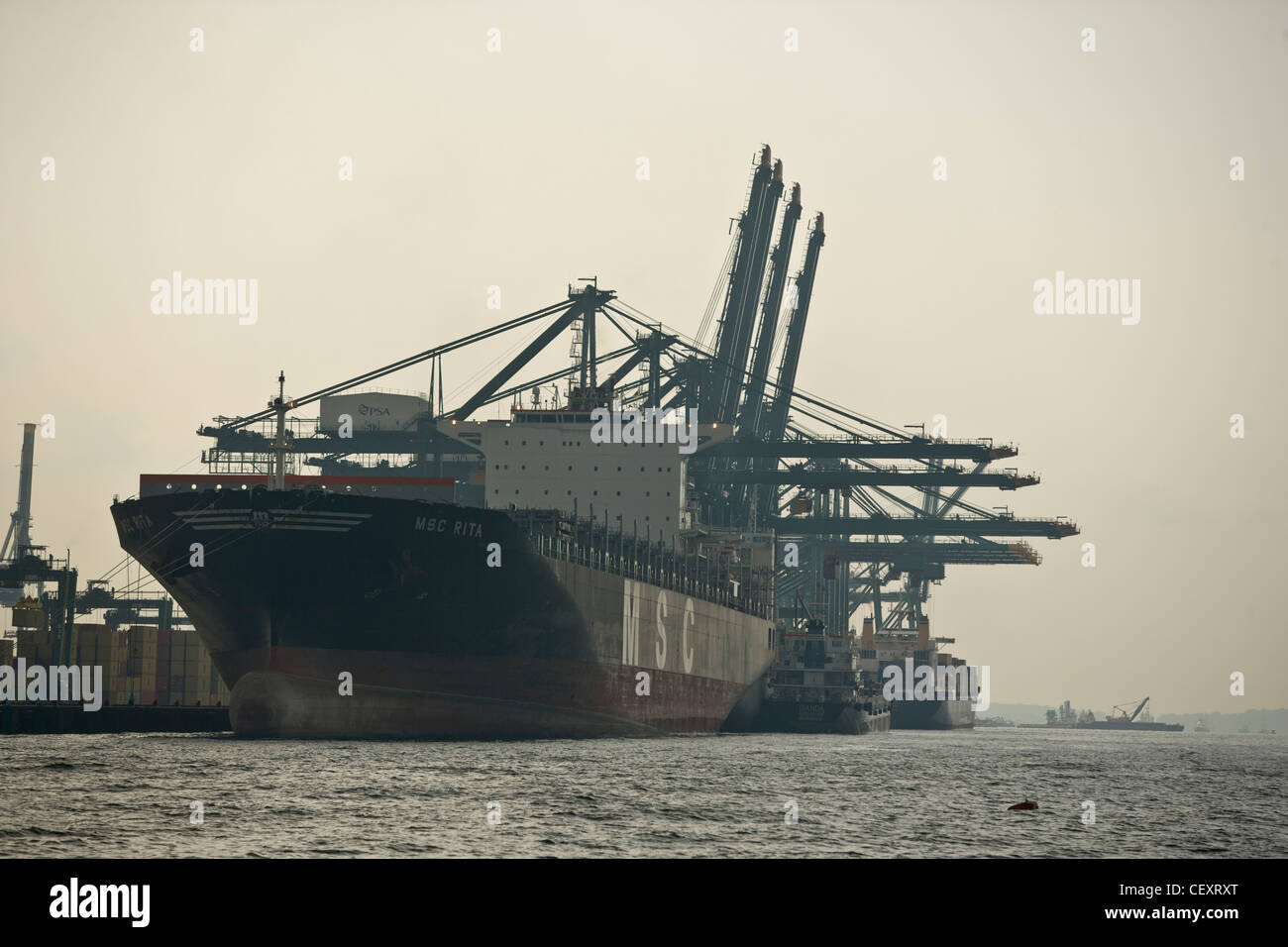 Container ships are seen moored at the Pasir Panjang terminal of the ...