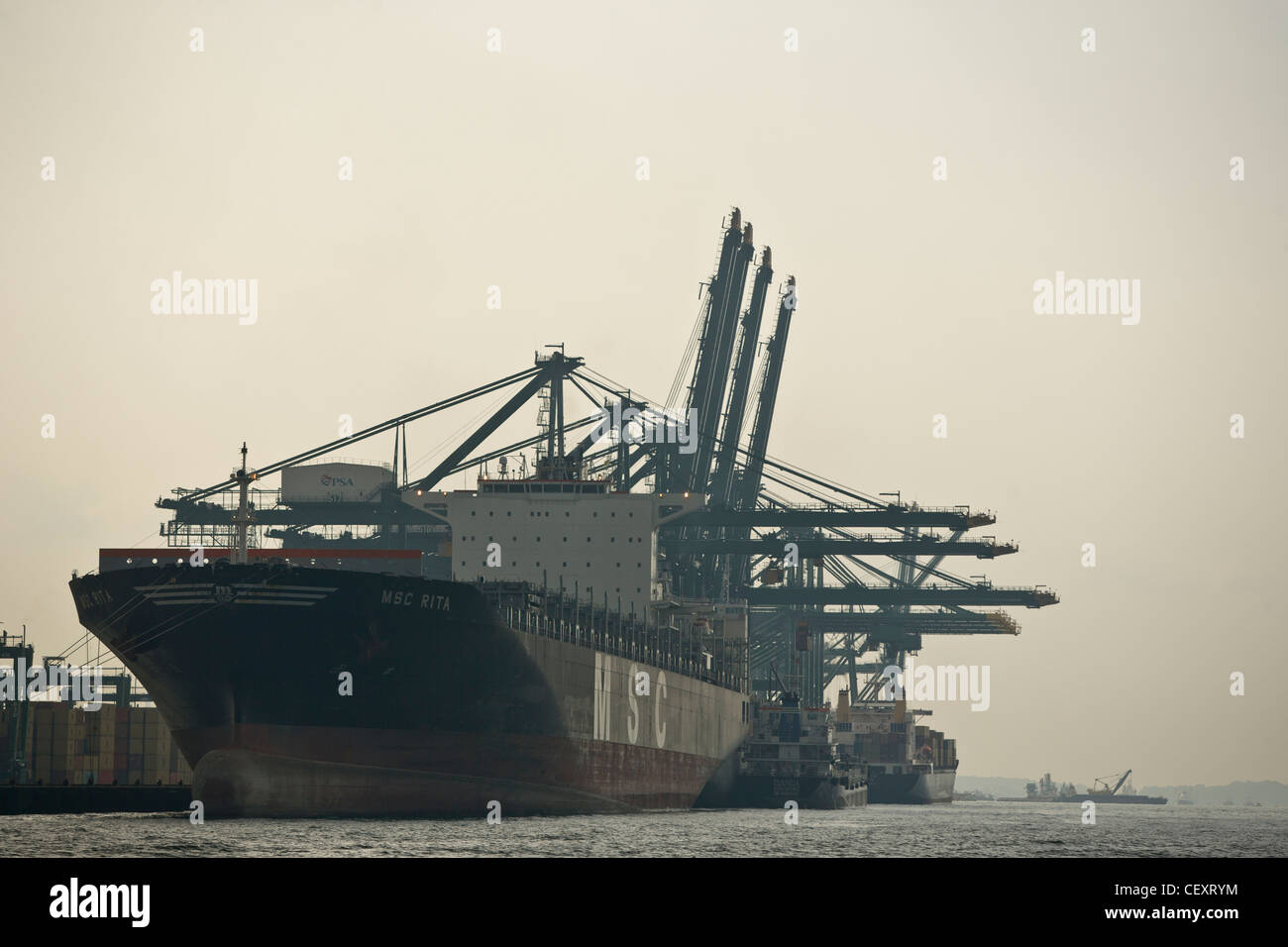 Container ships are seen moored at the Pasir Panjang terminal of the ...