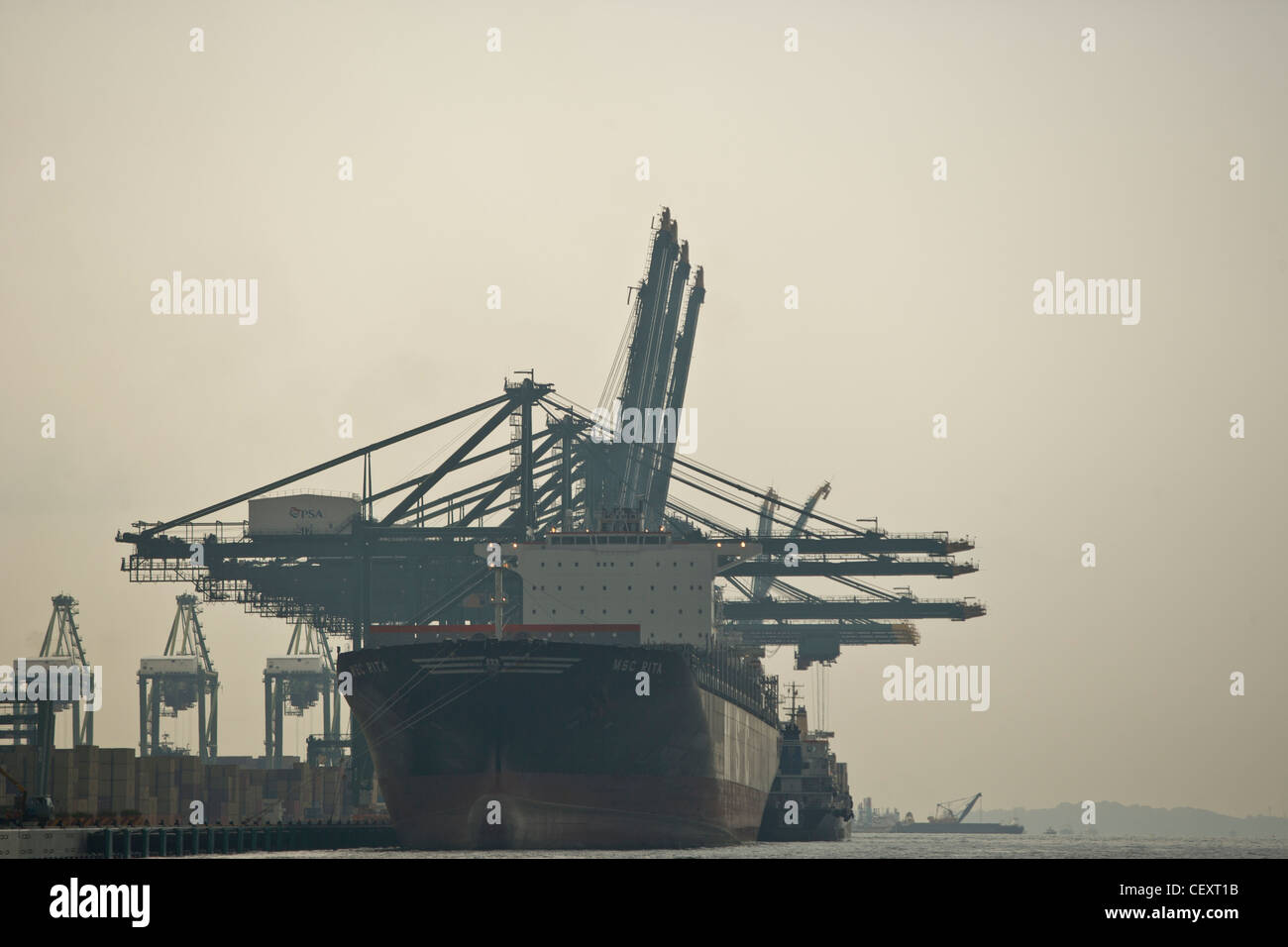 Container ships are seen moored at the Pasir Panjang terminal of the ...