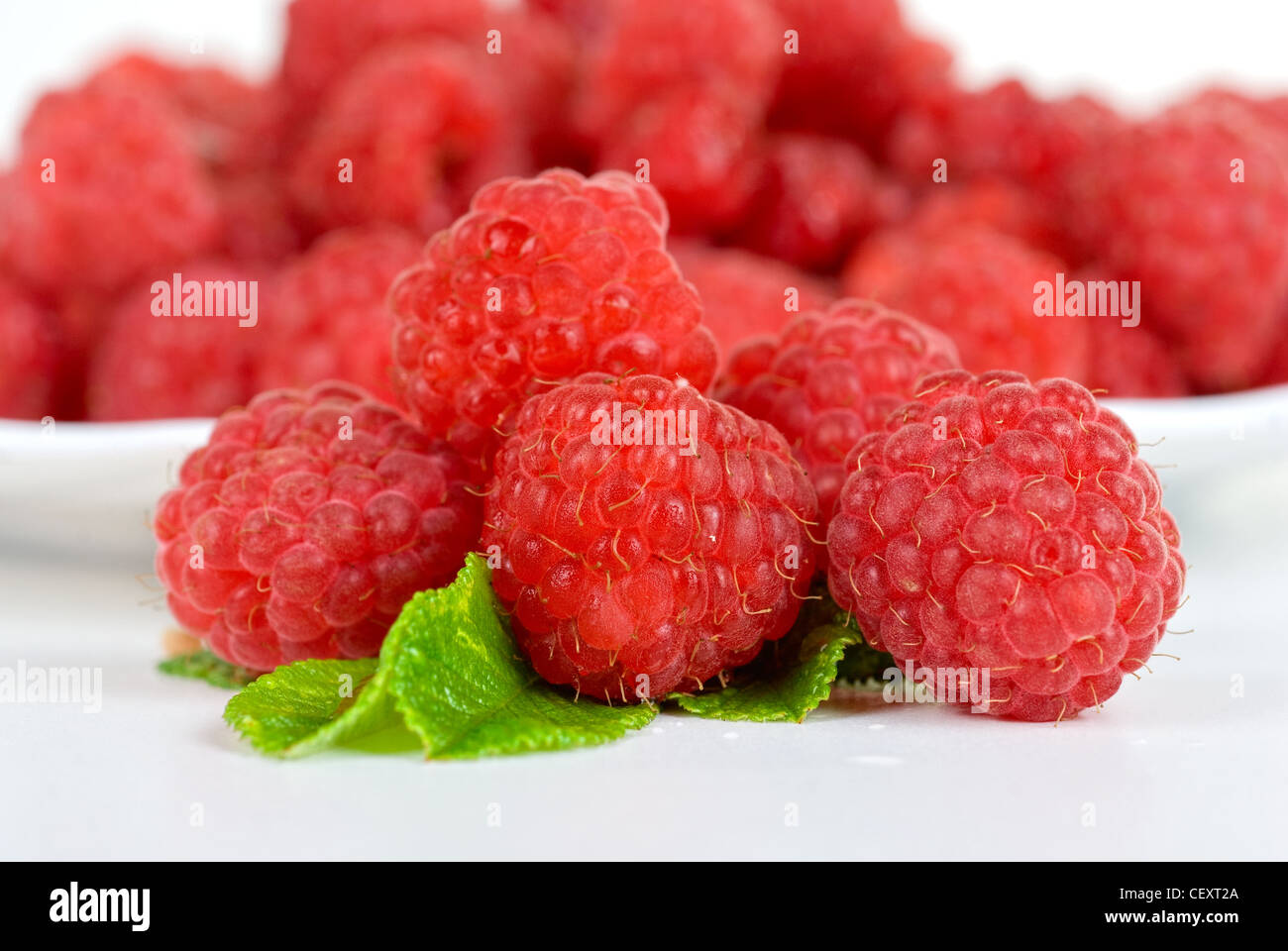 fresh raspberry closeup on a white background Stock Photo - Alamy