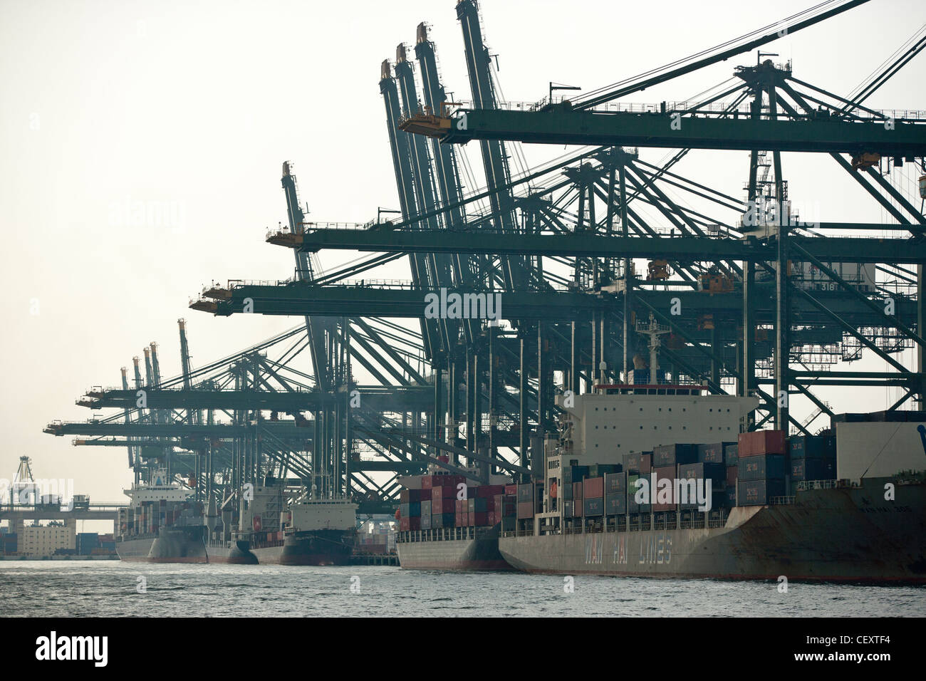 Container ships are seen moored at the Pasir Panjang terminal of the ...