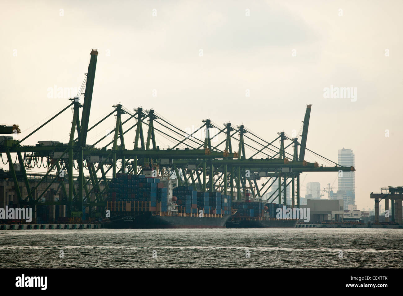 Container ships are seen moored at the Pasir Panjang terminal of the ...