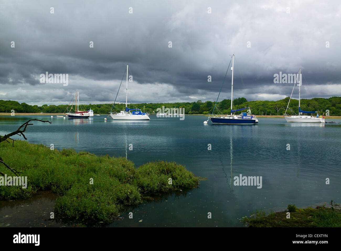 Beaulieu's River, The New Forest National Park, Hampshire,UK Stock ...