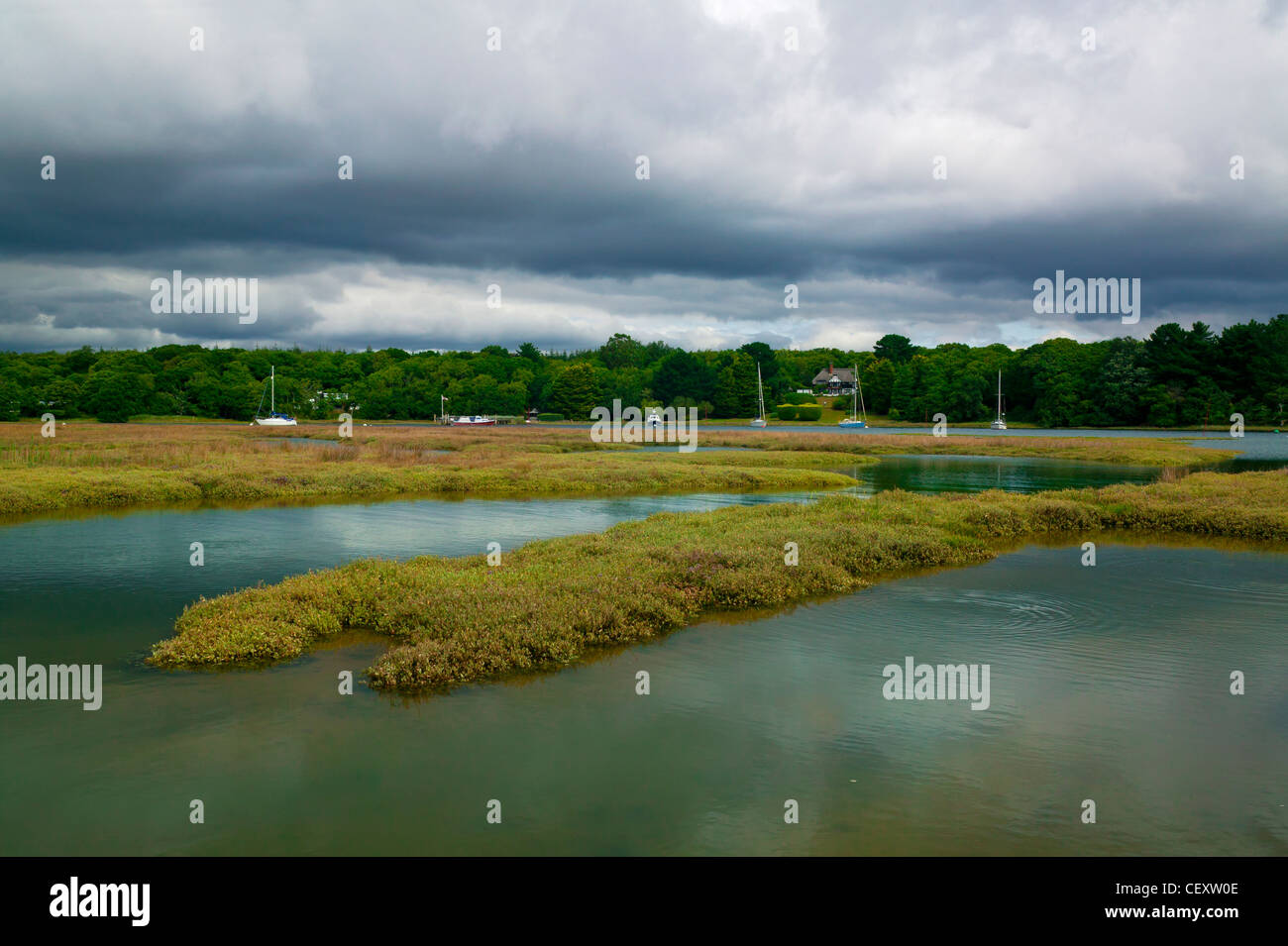 Beaulieu's River, The New Forest National Park, Hampshire,UK Stock ...