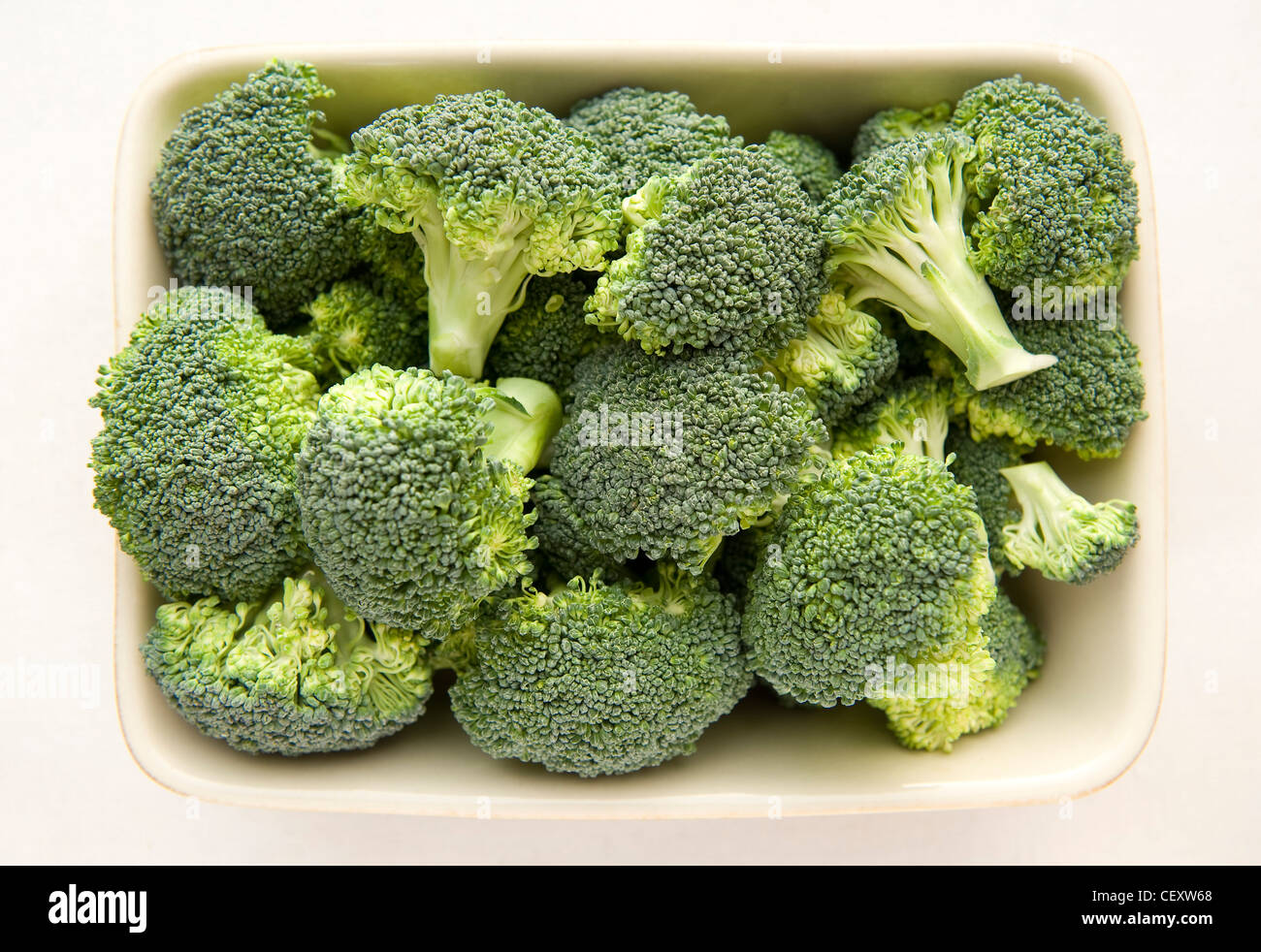 A still life image of broccoli florets in a white dish Stock Photo - Alamy
