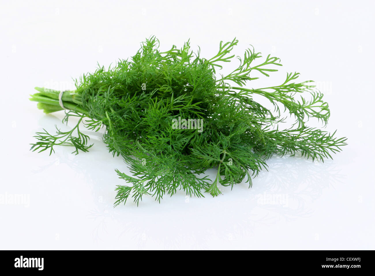 Tied to a string Cut Out Stock Images & Pictures - Alamy