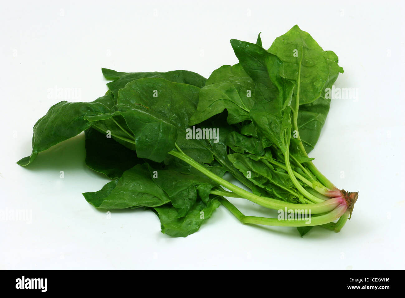 A cut out of a bunch of spinach Stock Photo - Alamy