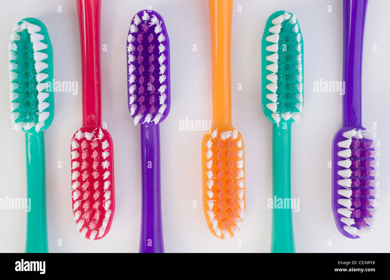 A close up of purple, yellow, green and red toothbrushes in a row on a ...