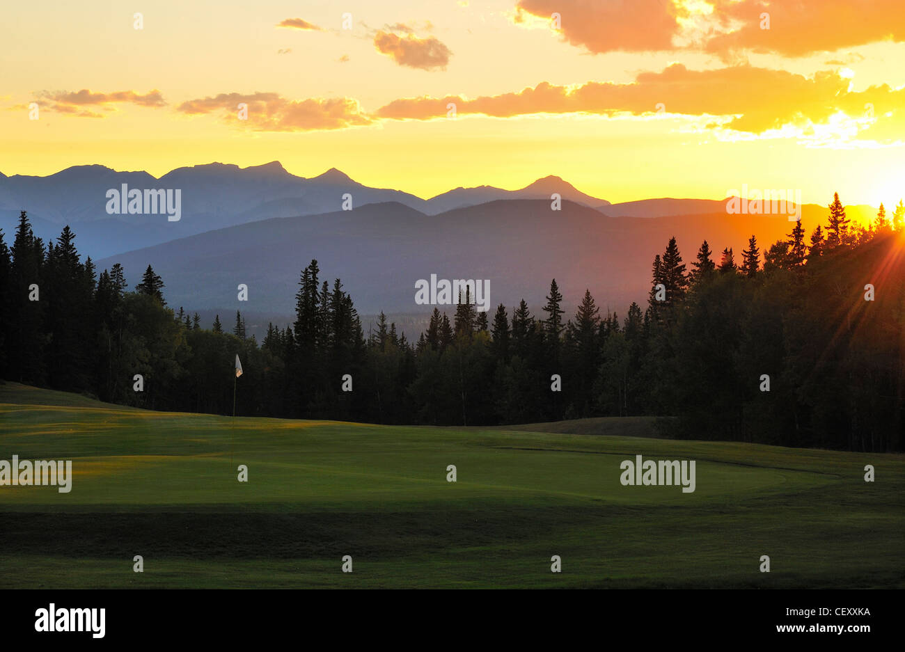 A golf green at sunset Stock Photo - Alamy