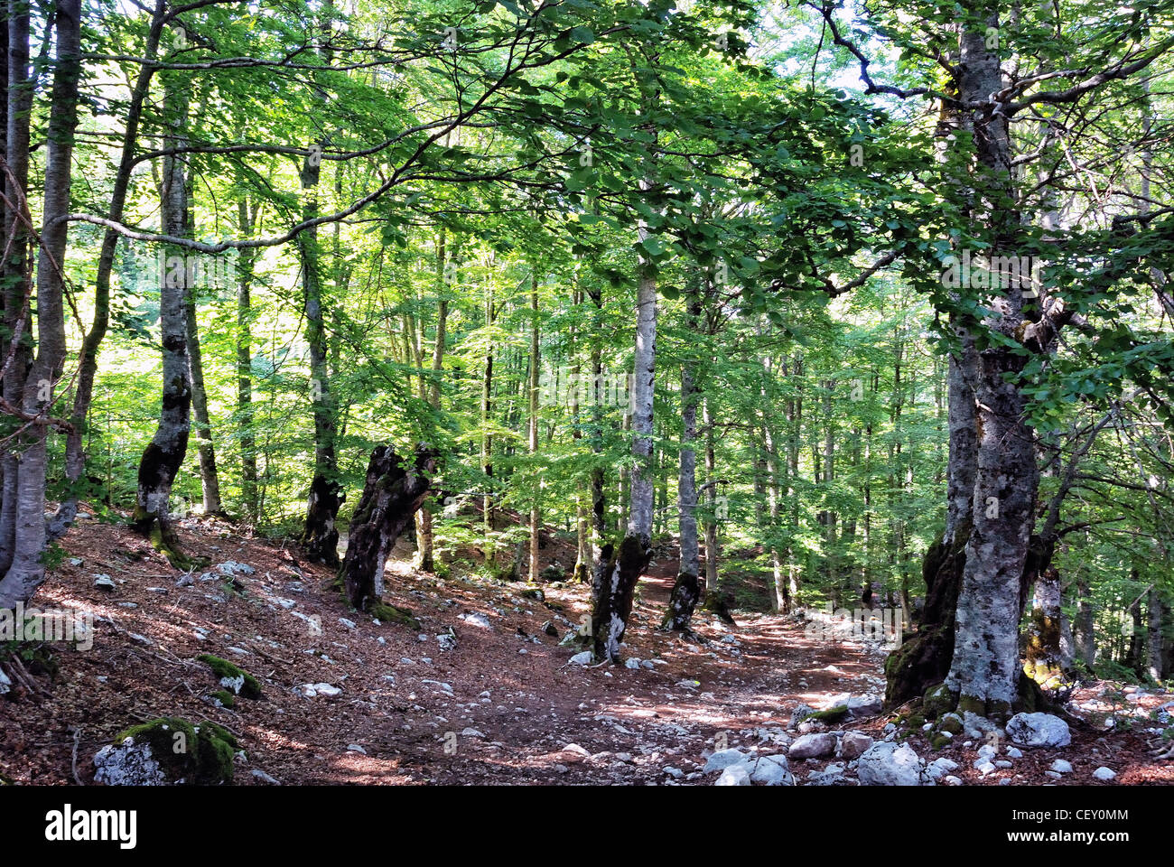 italia italy italie abruzzo pescasseroli monte tranquillo montagna ...
