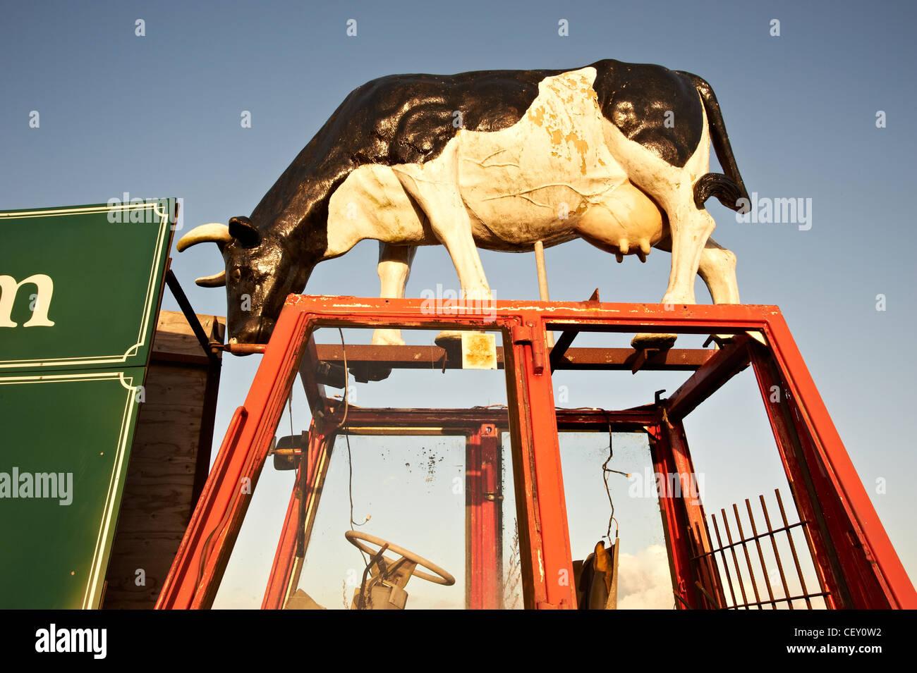 Friesian red hi-res stock photography and images - Alamy