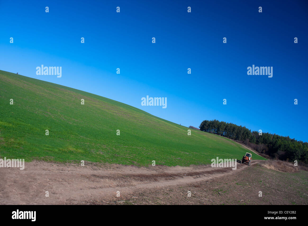 Real field hi-res stock photography and images - Alamy