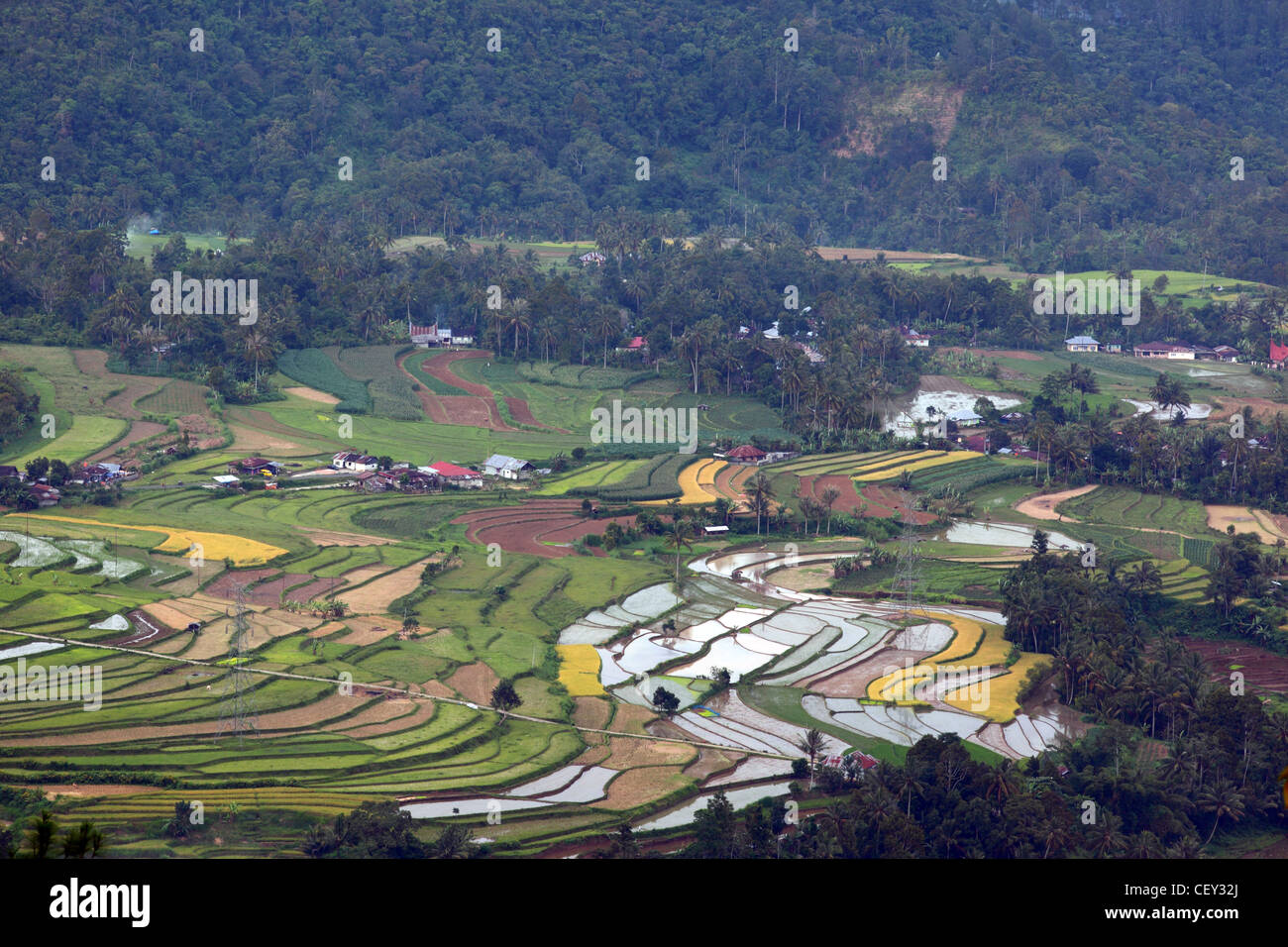 Rice terraces at Tabek Patah, West Sumatra Stock Photo - Alamy