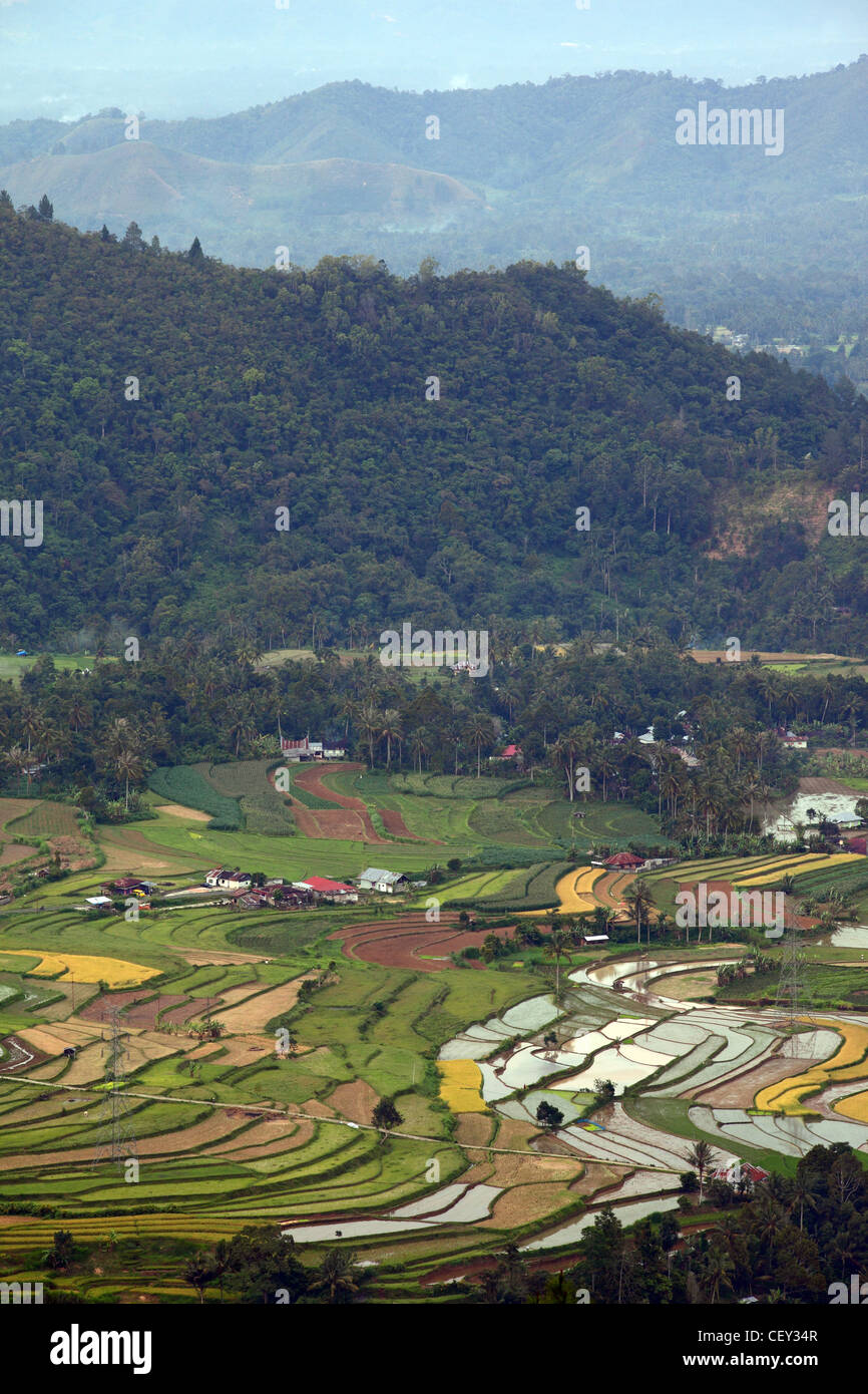 Rice terraces at Tabek Patah, West Sumatra. Bukittinggi, West Sumatra ...