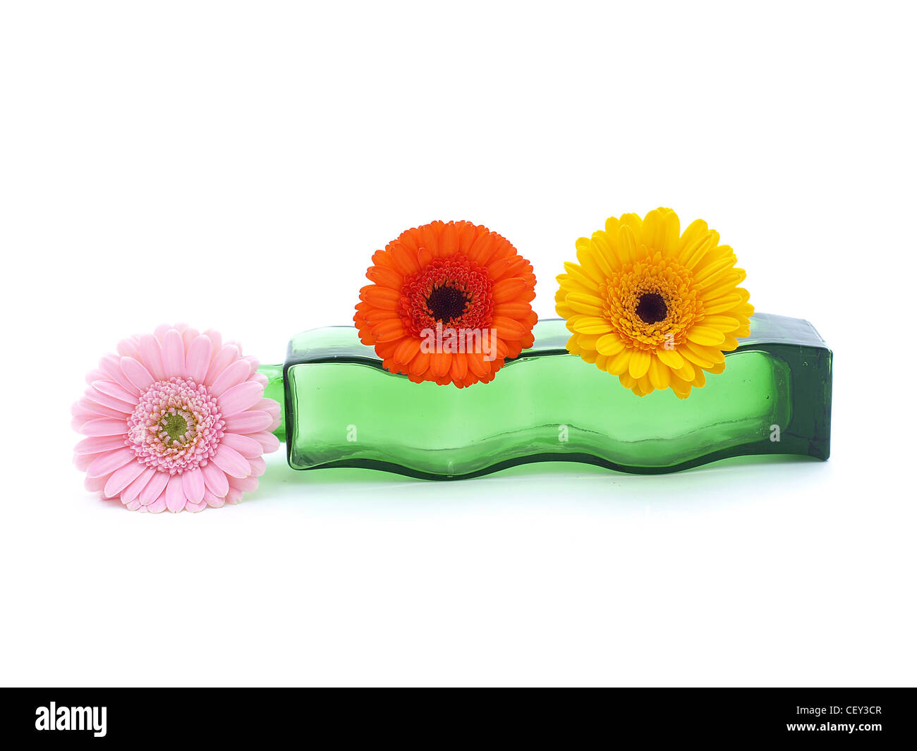 Gerbera flowers with vase isolated Stock Photo - Alamy