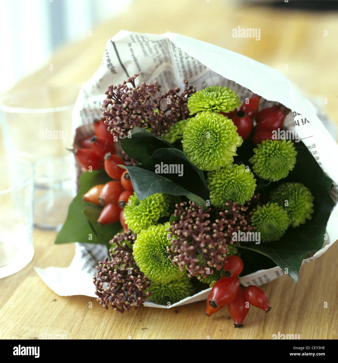 Chrysanthemum Kermit