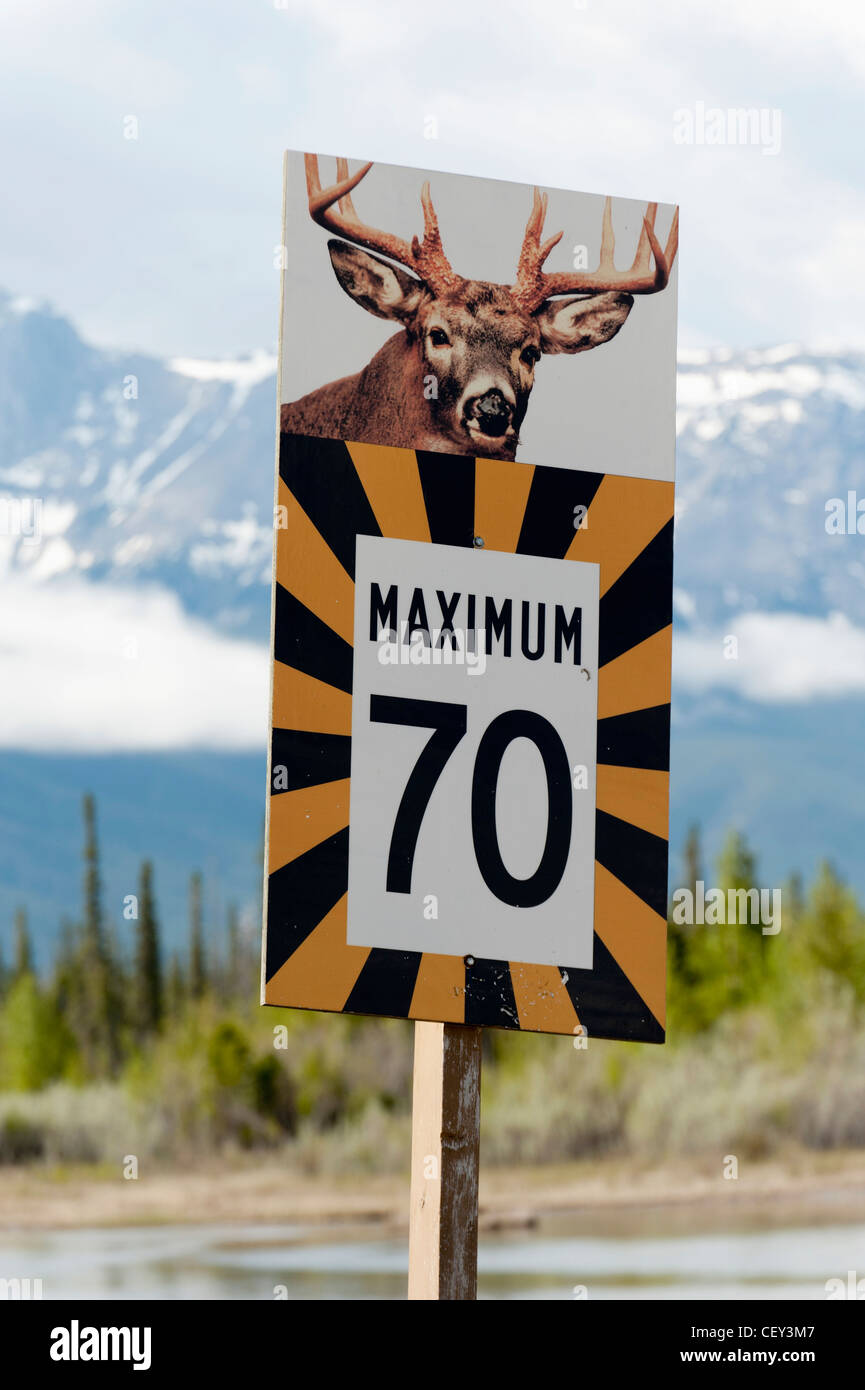 a speed limit sign with a warning of deer crossing; jasper, alberta ...