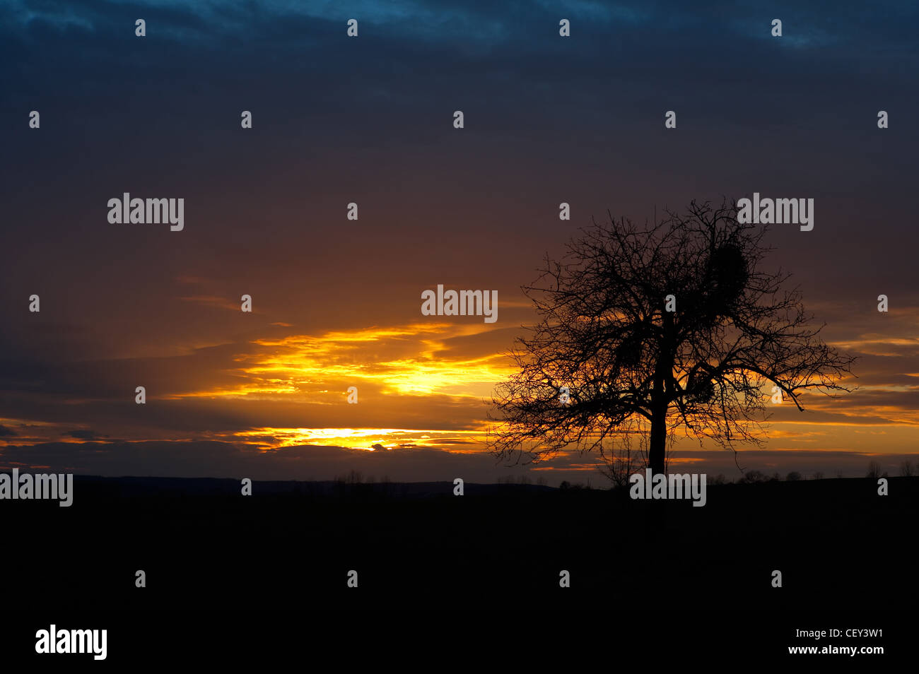 Lonely tree beautiful sunset hi-res stock photography and images - Alamy