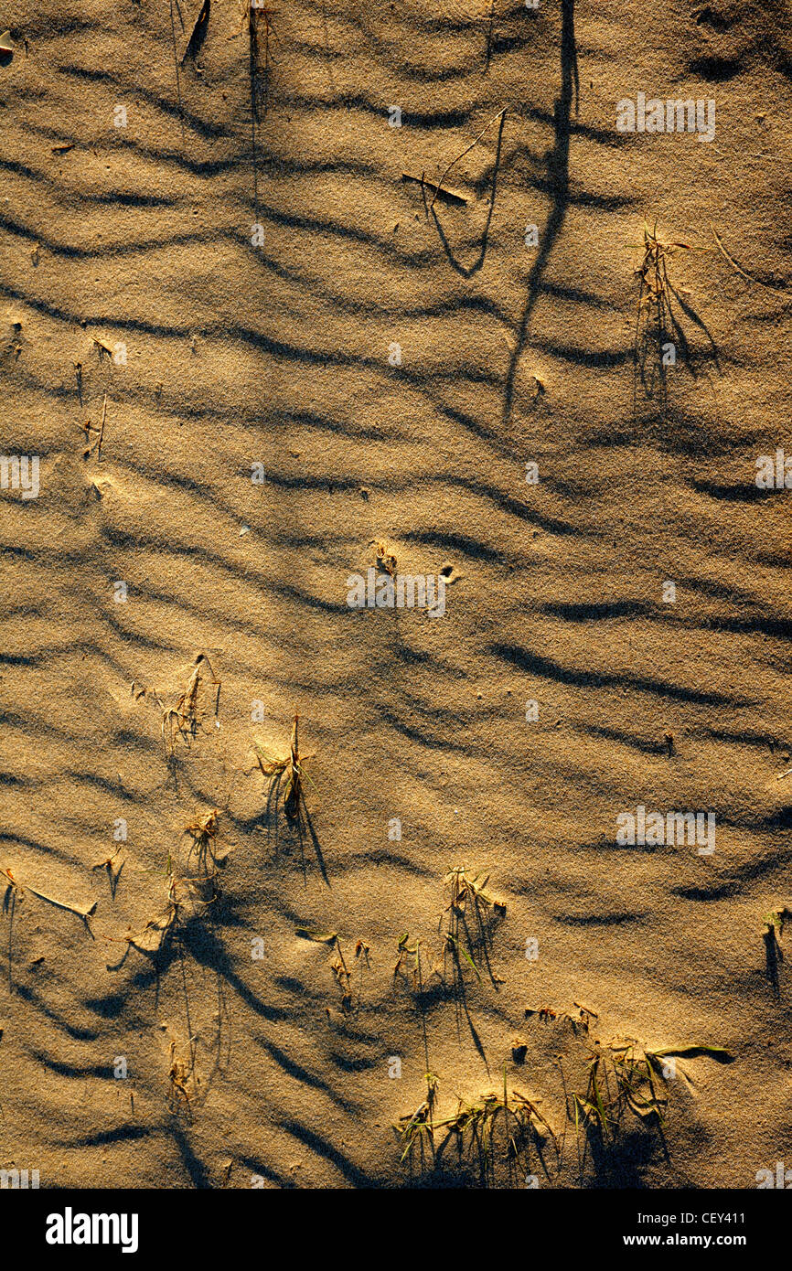 Dry sand dunes Stock Photo - Alamy