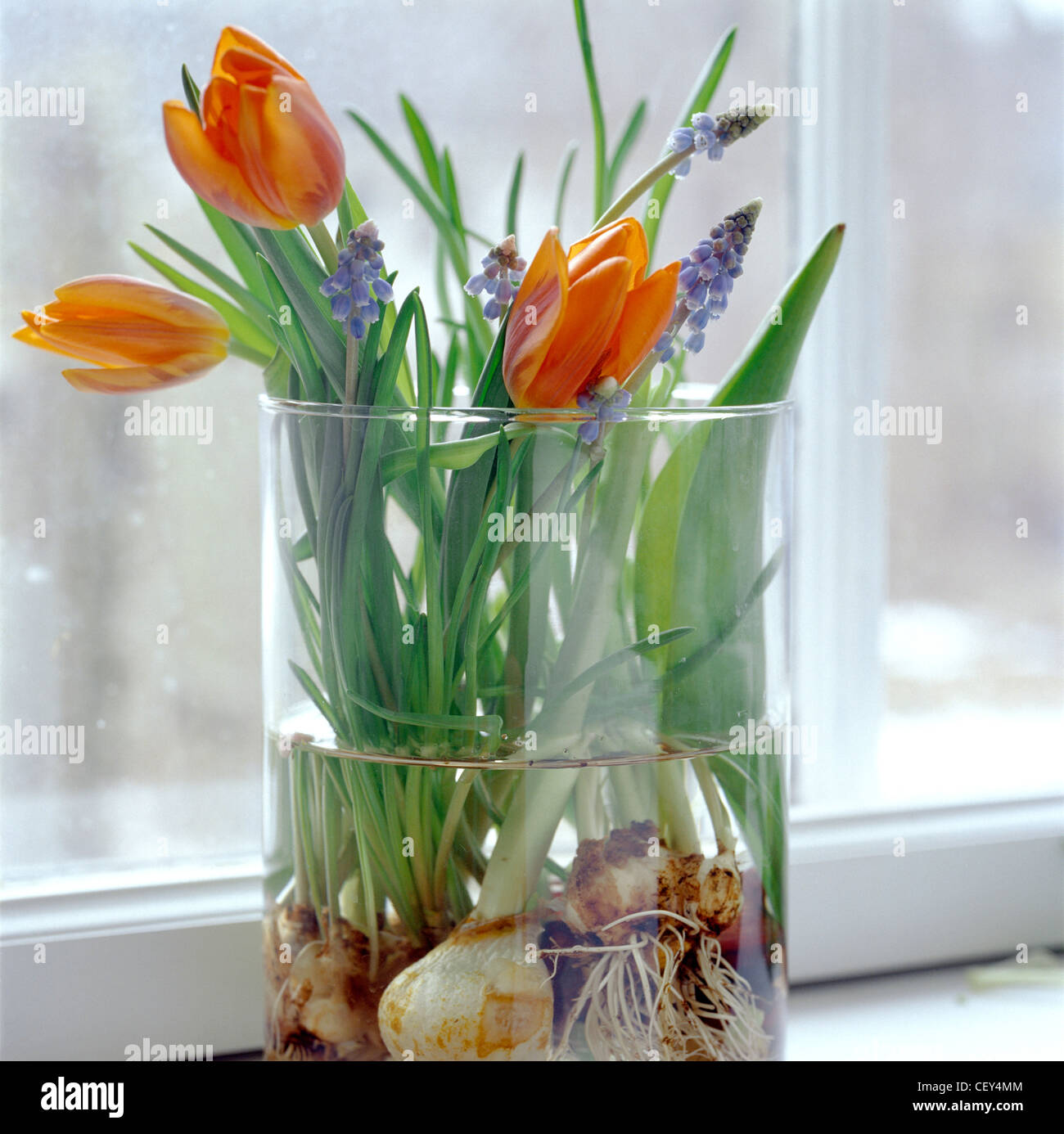 Delightful colour hi-res stock photography and images - Alamy