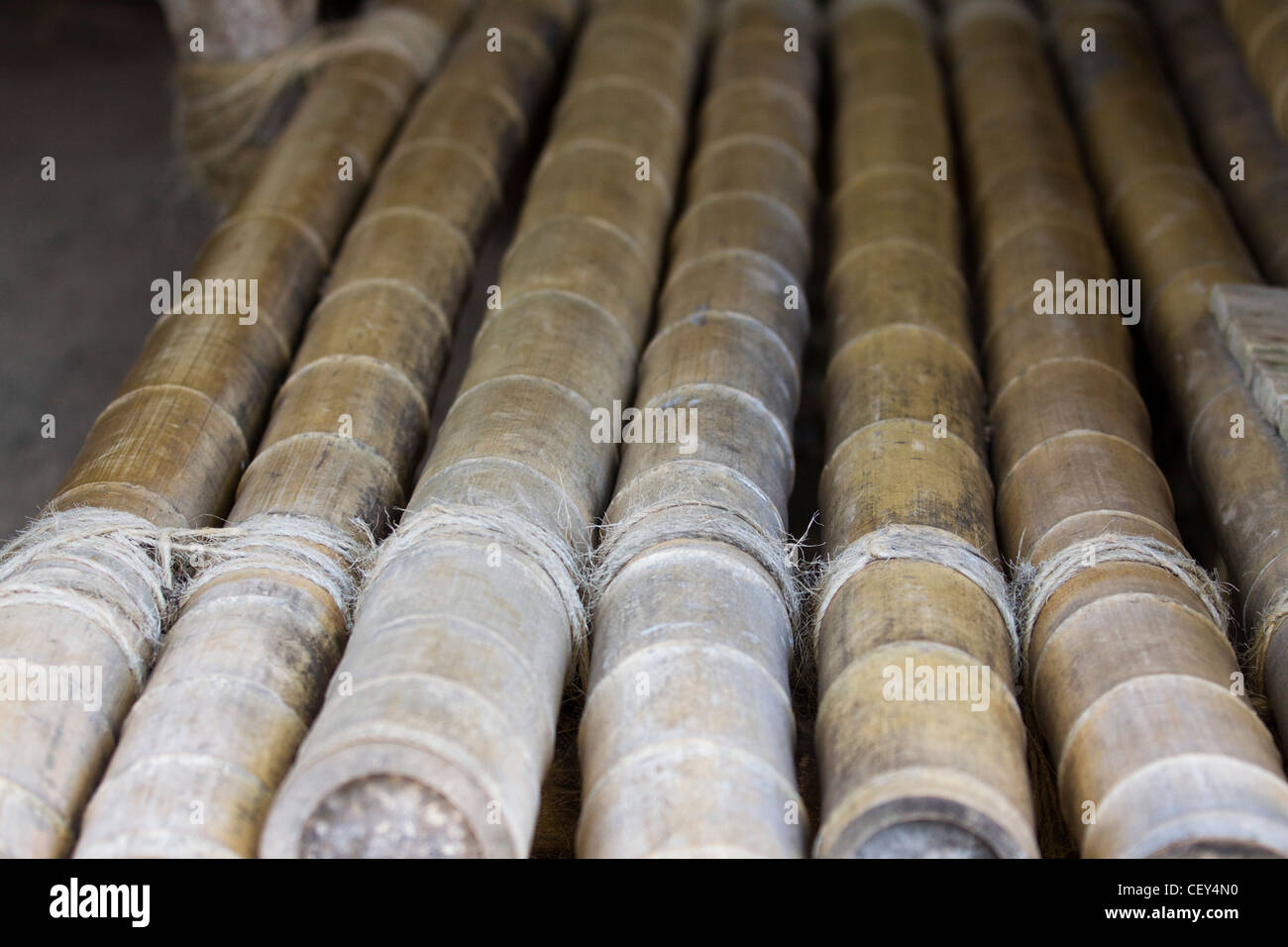 Bamboo Posts held together with string Bambusa oldhamii Stock Photo - Alamy
