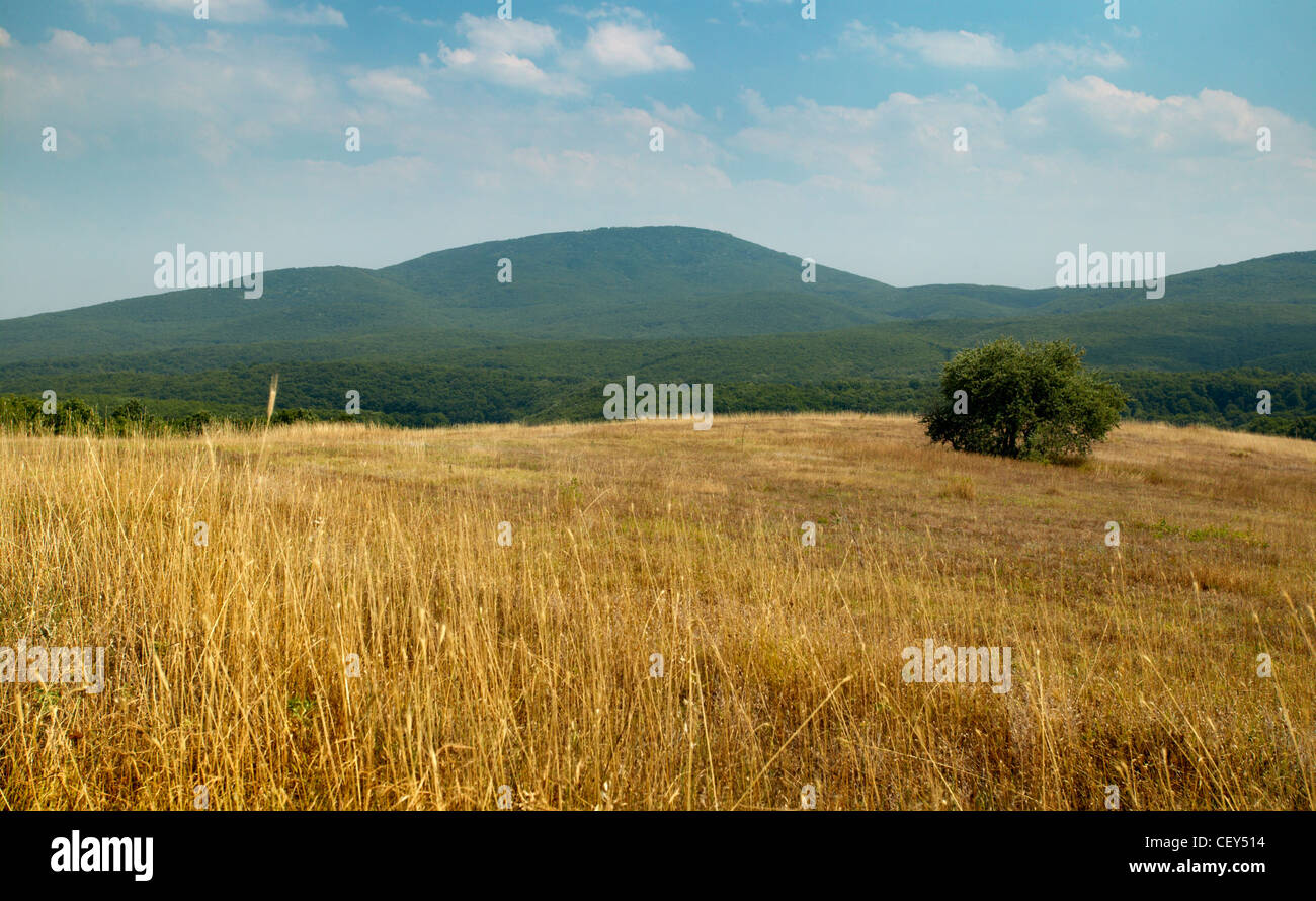 Strandja hi-res stock photography and images - Alamy