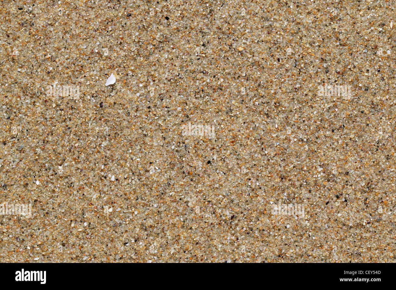 Wet sea sand background Stock Photo - Alamy