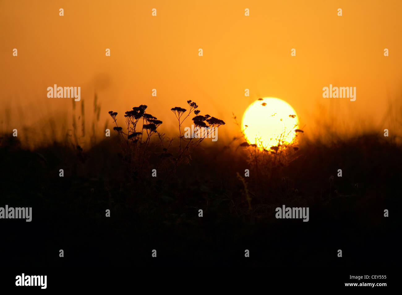 The sun goes down Stock Photo - Alamy
