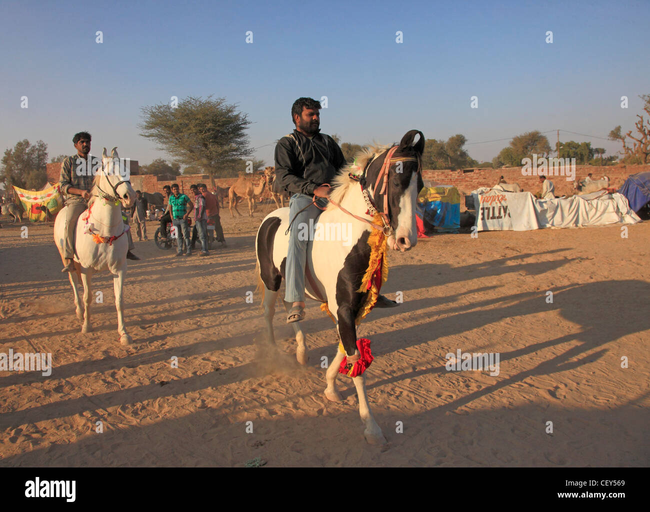 India, Rajasthan, Nagaur, Fair, men on horseback Stock Photo - Alamy