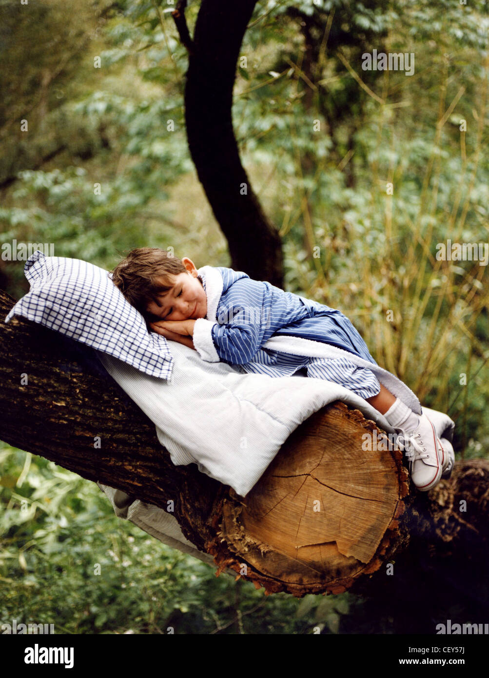 Male child sleeping on a tree trunk Stock Photo - Alamy